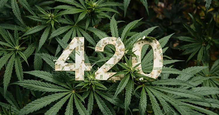 420 Meaning: The Origins, Interpretations, and Celebrations of the Pop ...