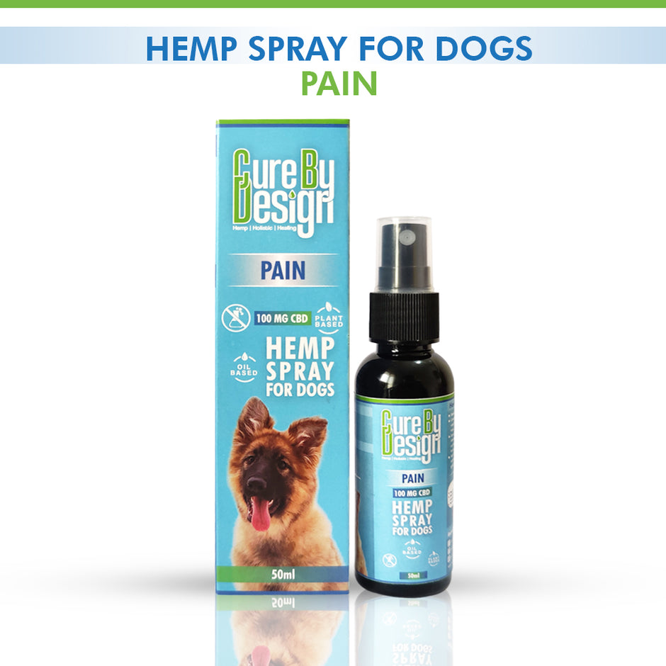 Buy Hemp Seed Products Online In India | CannaMeds India